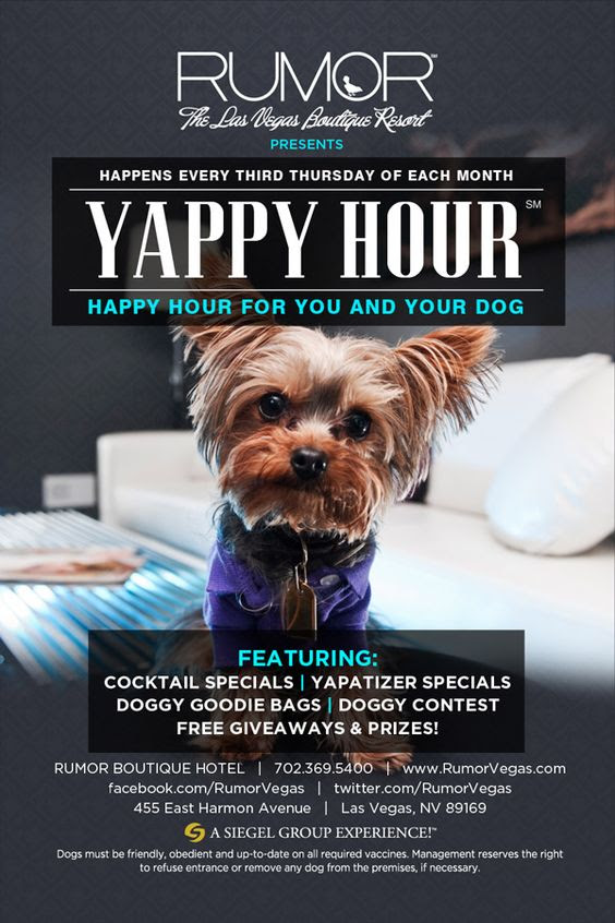 Apartment Marketing With Pets 11 Tips For Adding Sizzle Apartment Marketing With Pets 11 Tips For Adding Sizzle
